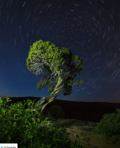 Sketchnote Summer Camp - Let's make a Treehouse - Blessinks: Art by ...